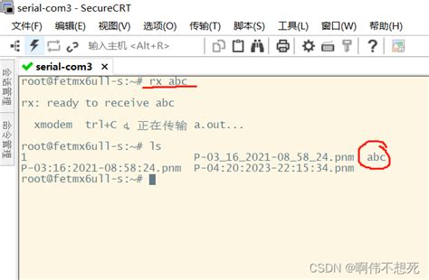 Securecrt连接开发板 Csdn博客
