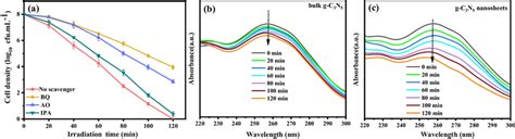 Photocatalytic Antibacterial Activities Of G C3n5 Nanosheets With Download Scientific Diagram
