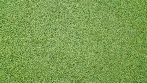 Grass Background Pattern Grass Background Pattern