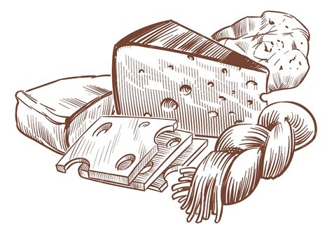 Premium Vector Sketch Cheese Compositions With Cheeses Different