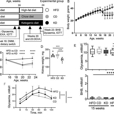 Experimental Protocol Diagram And Metabolic Parameters A Schematic Download Scientific