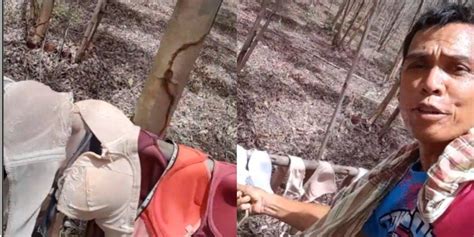 Puluhan Bra Dan Celana Dalam Ditemukan Di Perkebunan Siapa Pemiliknya