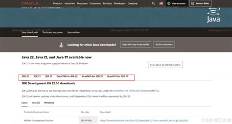 超详细jdk17下载与安装步骤 Csdn博客