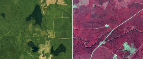 Arcgis Desktop Why Is Arcmap Reverting 4 Band Raster Settings