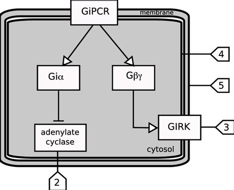 15 Example Of An Unfolded Submap The Unfolded Submap Corresponds To Download Scientific