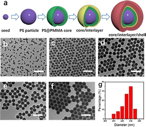 Stepwise Polymerization And Characterization Of Ps Pmma P Hema Co Ea Download Scientific