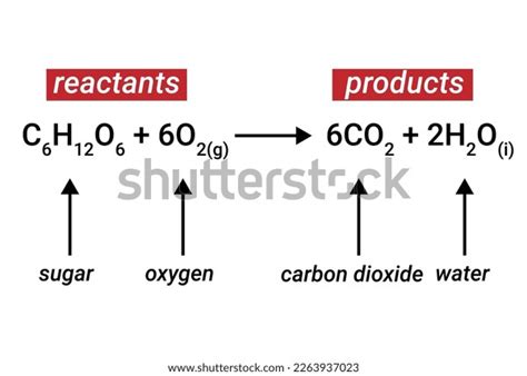 Chemical Reaction Reactants Products Stock Vector Royalty Free