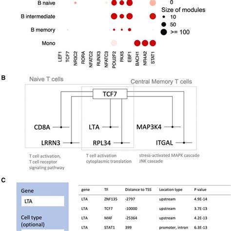 Regulatory Circuitry Of Human Immune Cells A Selected Crema