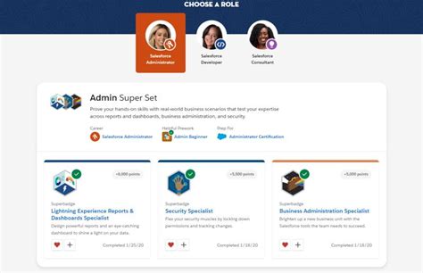 Dasari Saisri Abhiram On Linkedin Salesforce Trailhead Salesforceohana Superbadge