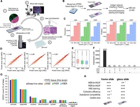 A Framework For Ultra Low Input Spatial Tissue Proteomics Cell Systems