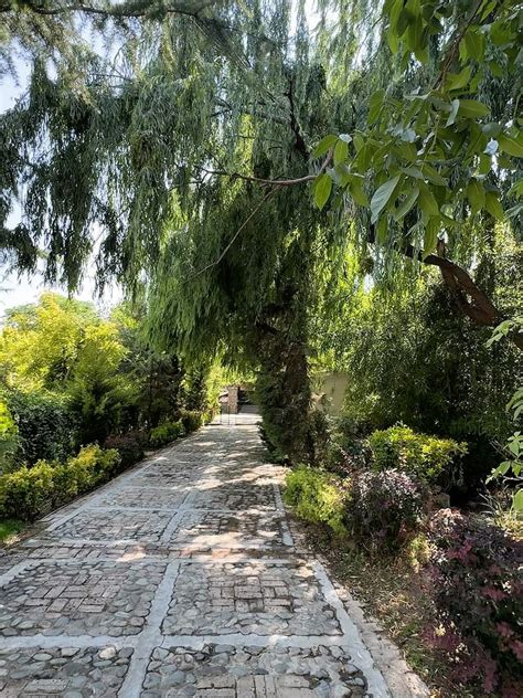 ‎ویلا عرش ویلا کردان‎ ‎کردان کوهسار، ویلا باغ خوش حس و حال ۱۱۵۰ متر