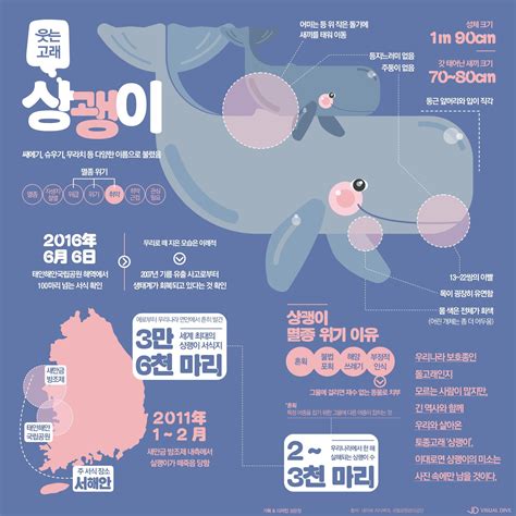 태안 생태계의 희망이 된 웃는고래 ‘상괭이 인포그래픽 Porpoise Infographic ⓒ 비주얼다이브 무단 복사·전재·재배포 금지 인포그래픽 인포