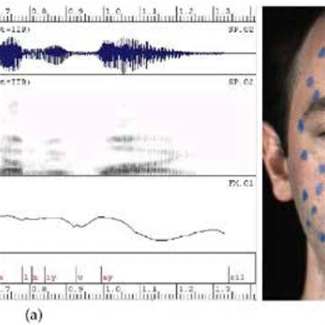 A Audio Feature Extraction With Speech Filing System Software B Download Scientific
