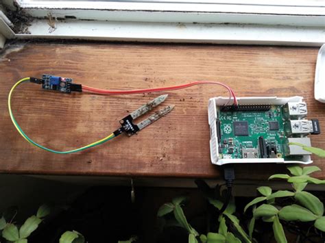 Hydroponic Gardening With A Raspberry Pi — The Magpi Magazine