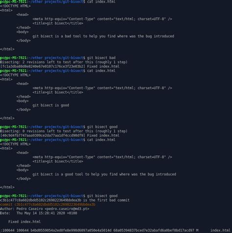 Git Bisect Improve Your Bug Detective Skills With This Cool Command