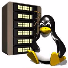 Gnu Linux PFP Gnu Linux Profile Pics