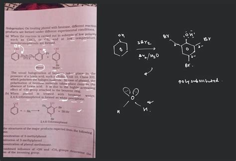 Halogenation On Treating Phenol With Bromine Different Reaction Product