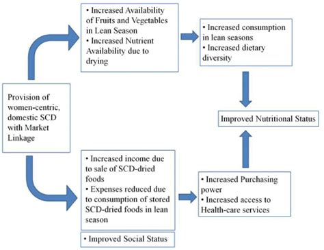 Conceptual Framework On Which The Study Design And Methodology Is Based