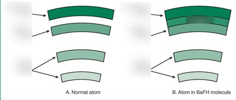 psp layer molecules diagram quizlet