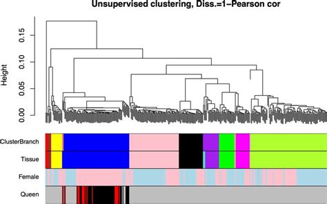 Unsupervised Hierarchical Clustering Of Nmr Tissues Average Linkage