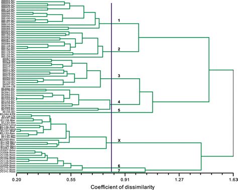 Cluster Analysis Upgma From A Combined Matrix Of 36 Qualitative And