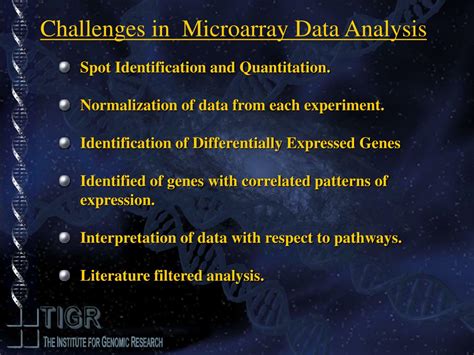 Ppt Microarray Data Analysis Ii Powerpoint Presentation Free