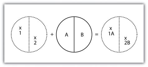 Multiple Layer Analysis