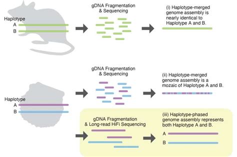 Molecular Fingerprint Behind Beautiful Pearls Revealed Trueviralnews