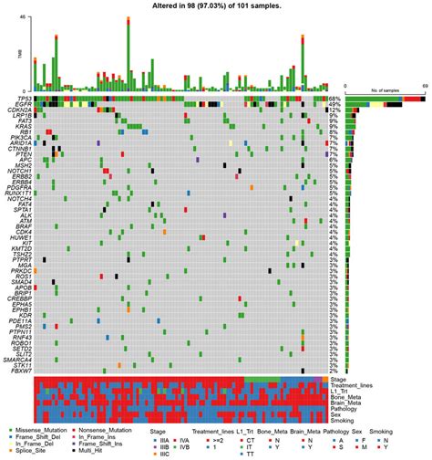 Mutation Landscape Of Patients With Stage Iii Or Iv Non Small Cell Lung