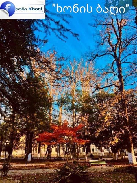 ყიდვა გაყიდვა ხონში Facebook