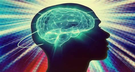 Optogenetics Identifying New Targets For Epilepsy Intervention Neuroscience News