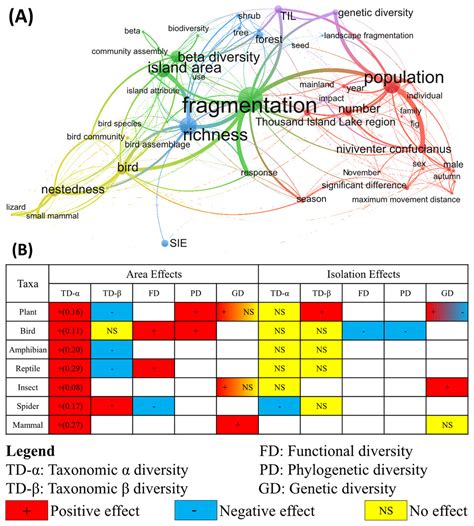 Spatiotemporal Patterns And Ecological Consequences Of A Fragmented
