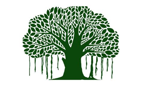 Tree Plan View Vector At Collection Of Tree Plan View