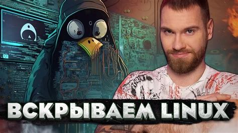 Как Линукс выглядит изнутри Linux для начинающих хакеров Смотреть онлайн в поиске Яндекса по