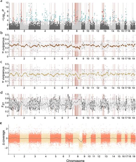 Genome Wide Selection Scan And Estimates Of Diversity And Divergence A Download Scientific