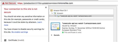 Api Gateway Uses Wrong Certificate · Issue 152 · Amplify Education