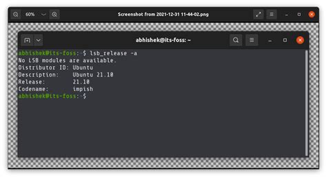 Using GNOME Screenshot Tool In Linux Like A Pro