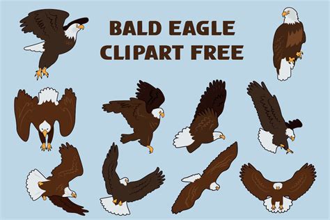 Bald Eagle Clipart Free Graphic By Free Graphic Bundles · Creative Fabrica