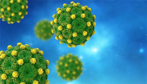 Hepatitis Virus