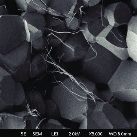 Scanning Electron Microscopy Sem Micrograph Of Fracture Surfaces Of