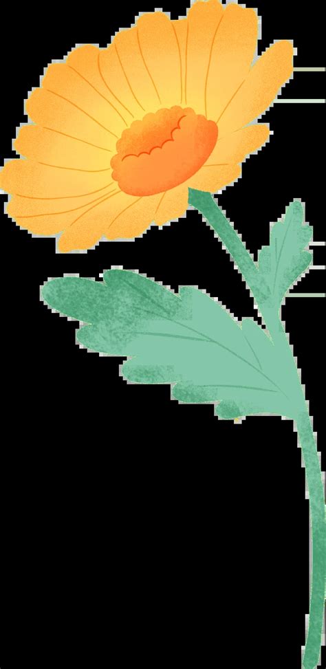 Canva E5a687e5a5b3e88a82e5a5b3e680a7e69d90e8b4a8