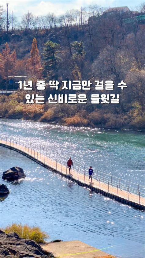 여행 조아 Travel Creator 일년 중 딱 지금만 물 위를 걸을 수 있는길🌊 철원군청의 지원을 받아 제작한 영상입니다 강 위를 걷는 신비로운 경험을 할 수