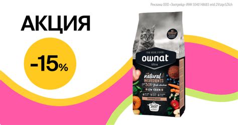 Акции сети зоомагазинов «Четыре Лапы» — скидки на корма для животных и ...