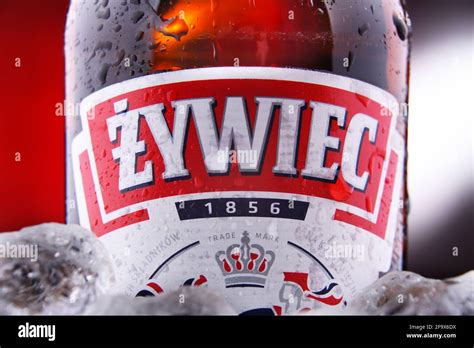 Poznan Pol Feb 18 2021 Bottle Of Zywiec Beer A Pale Lager Which