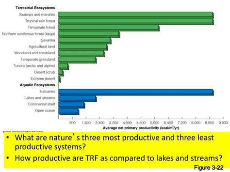 Ppt Ecological Efficiency Powerpoint Presentation Free Download Id