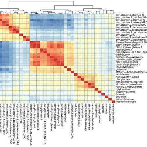 Heat Map Showing The Correlation Between The Annotated Metabolites