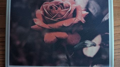 Someone Combined A Raspberry Pi With An Eink Display To Make The Perfect Photo Frame