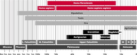 Homo Floresiensis