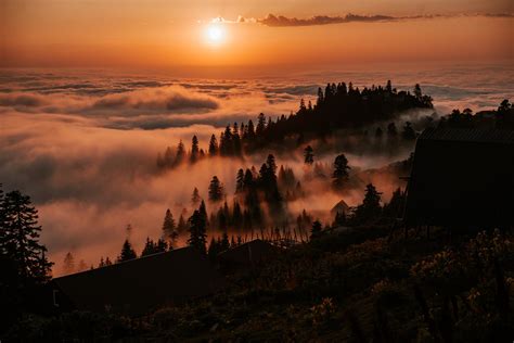 2024 წელს ტურიზმის ხელშეწყობისათვის გათვალისწინებულია 236 მლნ ლარი